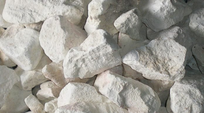 ¿Qué utilidad tiene la cal para las plantas? | Cal Noreste