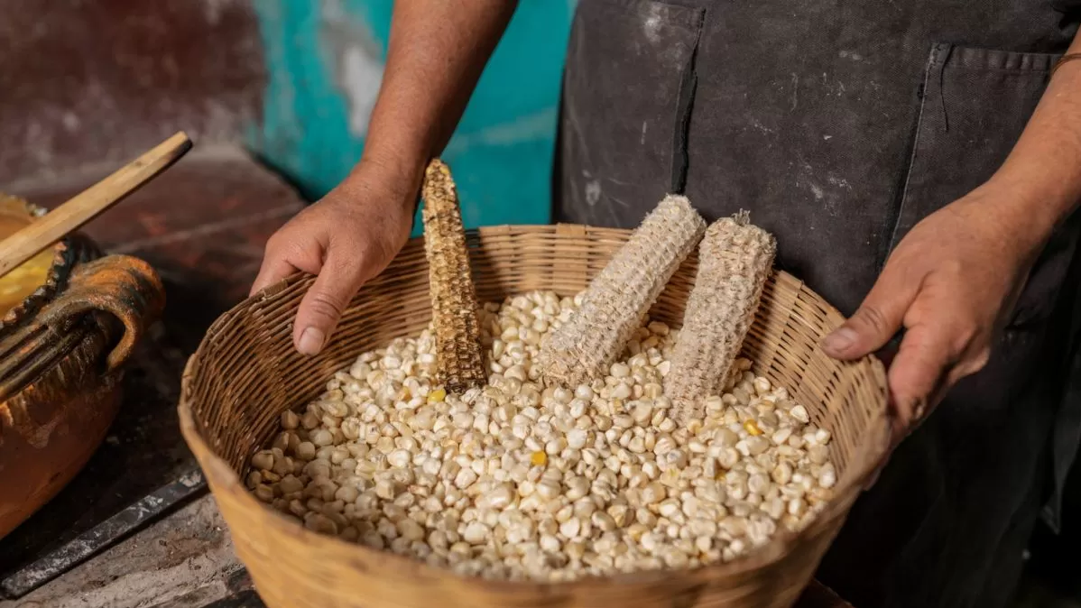 IMPORTANCIA DE LA CAL EN LA INDUSTRIA ALIMENTICIA